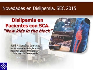 Objetivos en el tratamiento de la dislipemia en pacientes con ...