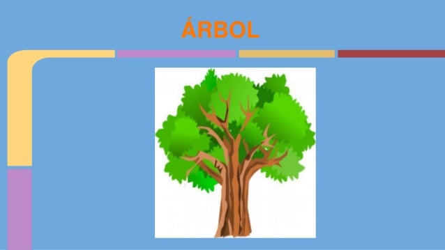 OBJETOS CON LA LETRA "A"