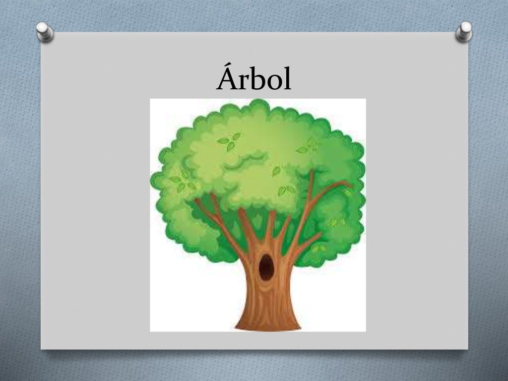 Objetos Cutos Nombres Comienzan Con La Letra A