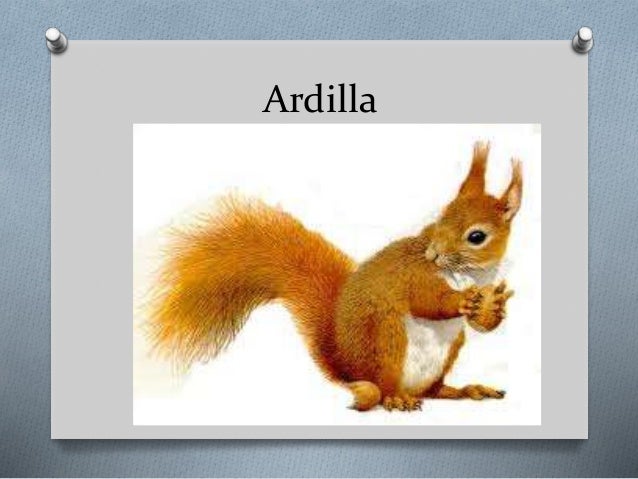 Objetos cuyos nombres comienzan con la letra a