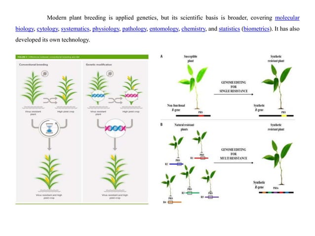 Objectives of plant breeding | PPTX