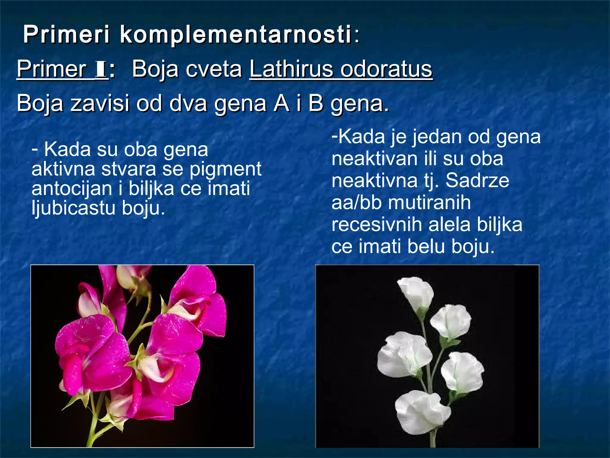 Oblici interakcije medju genima | PPT