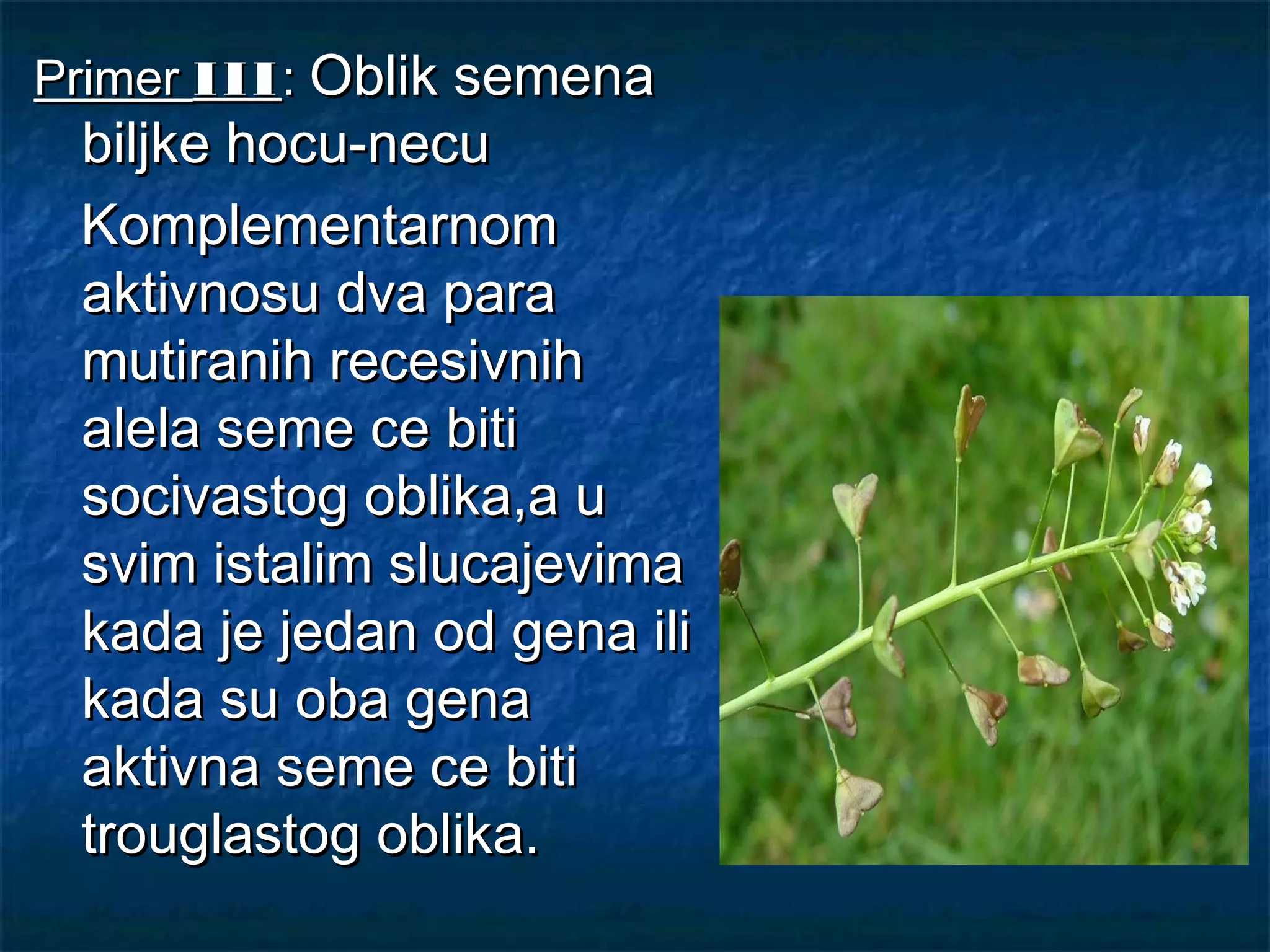 Oblici interakcije medju genima | PPT