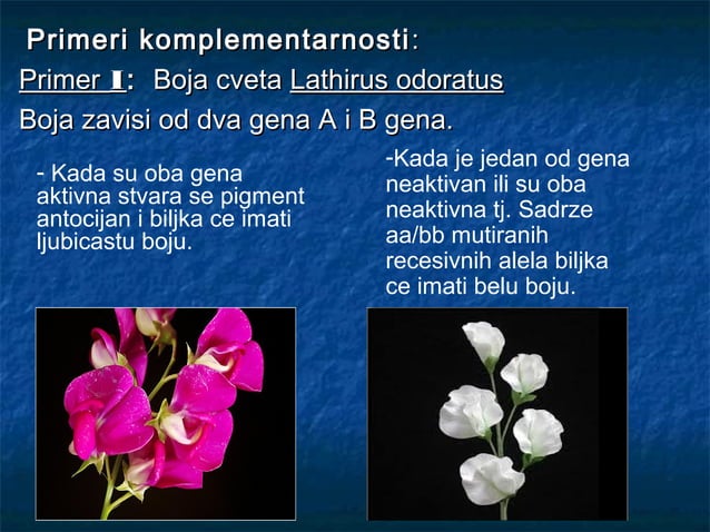 Oblici interakcije medju genima | PPT