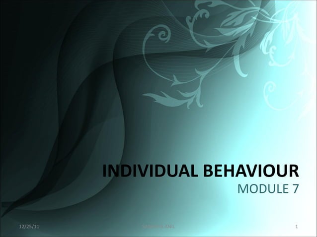 OB - INDIVIDUAL BEHAVIOUR | PPT