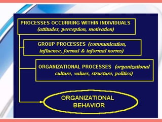 OB_MODULE 1_CAT12022.pptx