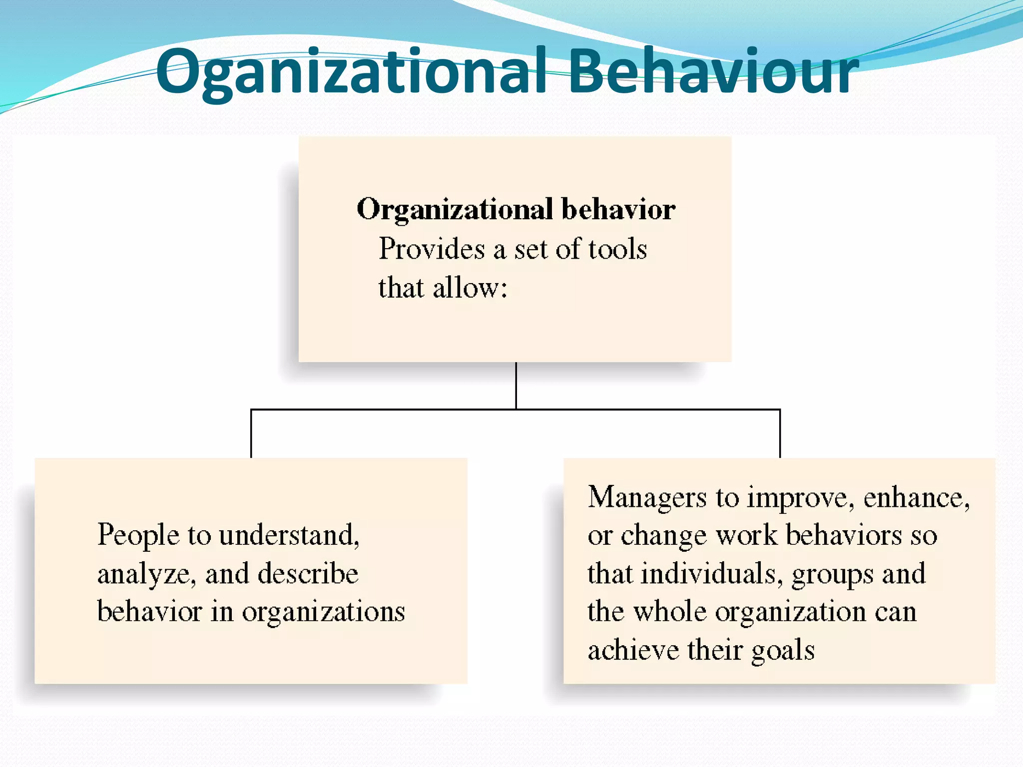 Organizational behaviour, nature & levels of organizational behaviour ...