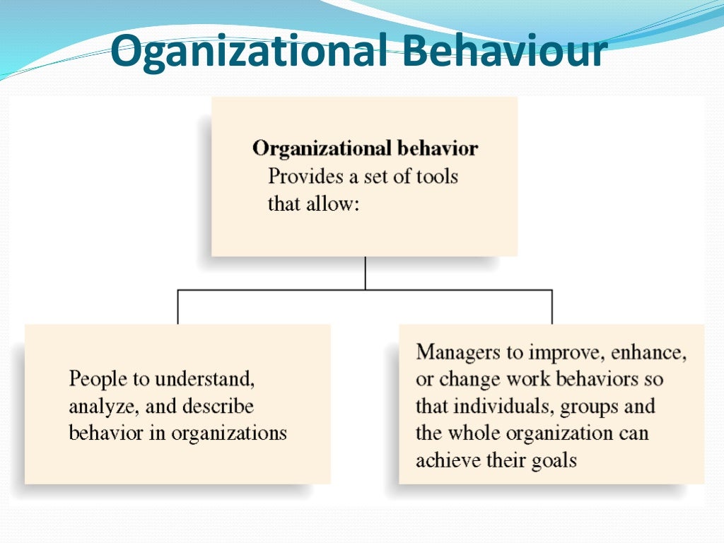 Organizational Behaviour Nature And Levels Of Organizational Behaviour