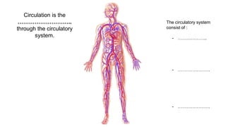 Circulatory system blog | PPT