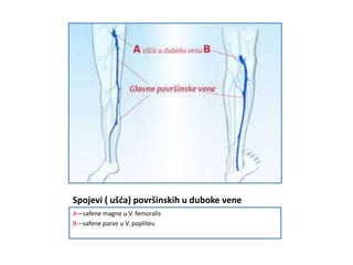 Oboljenja vena | PPTX