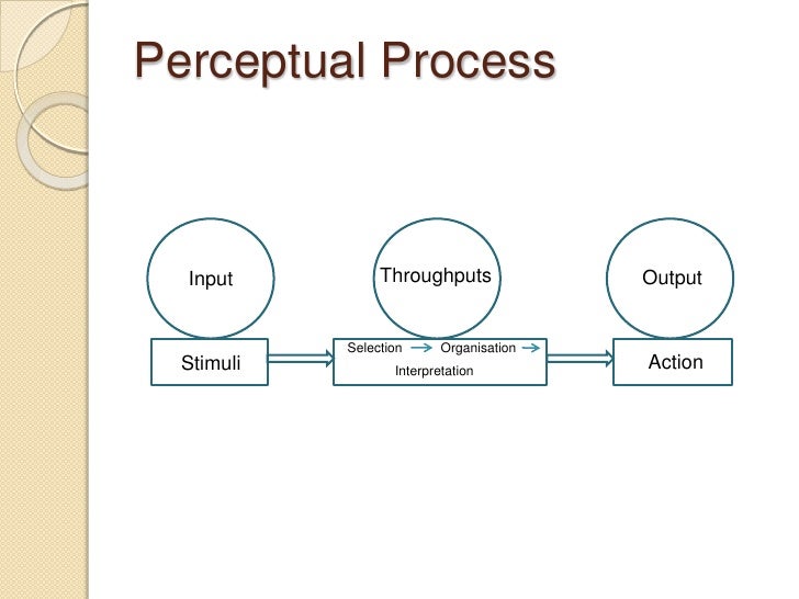 Perception