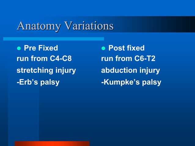 Obstetric Brachial Plexus Palsy | PPT | Pregnancy | Reproductive Health