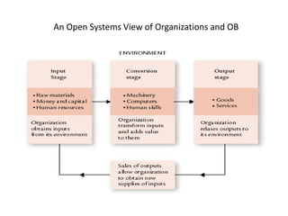 Ob ppt | PPTX