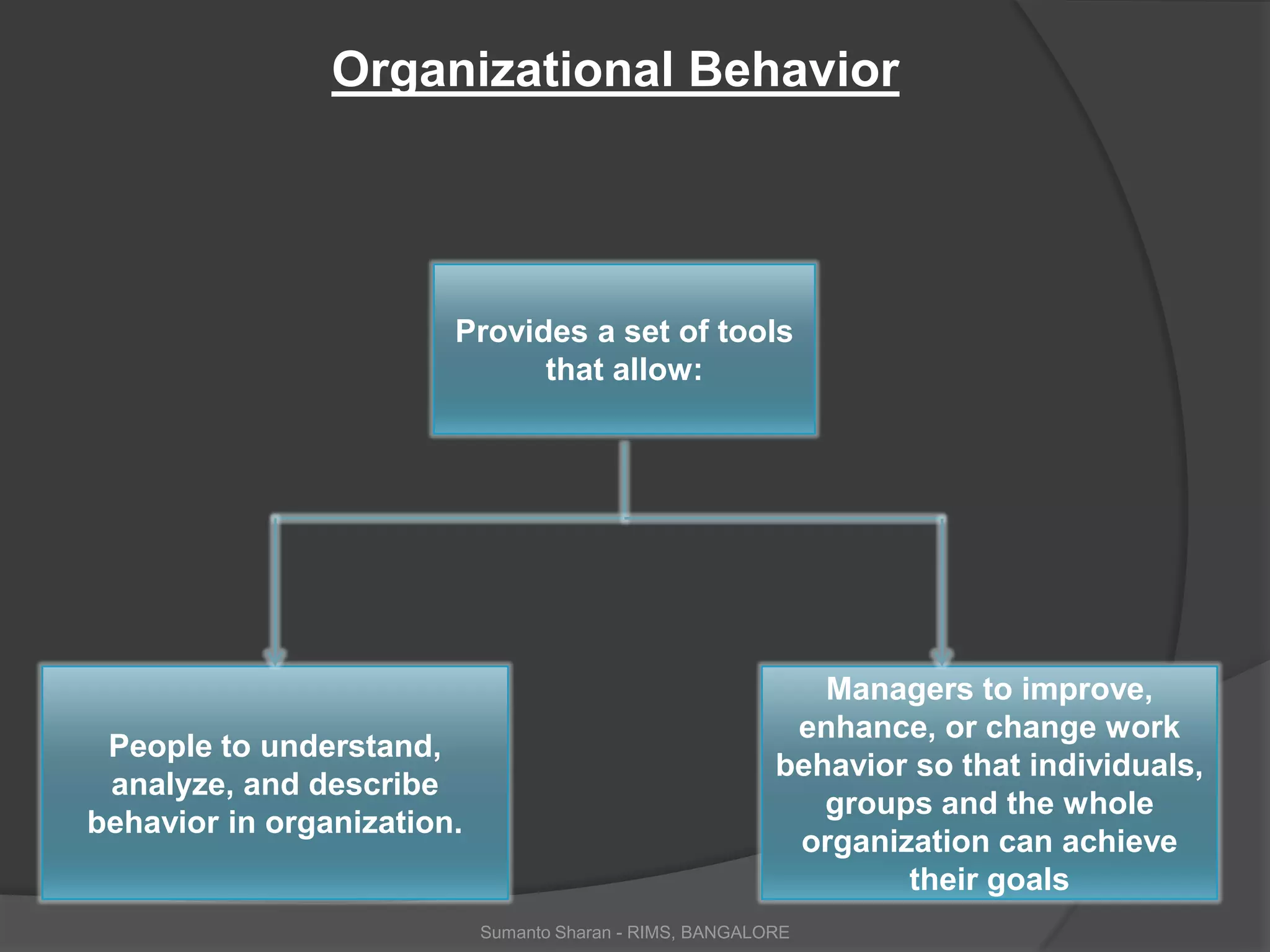 Organizational Behaviour Presentation | PPTX