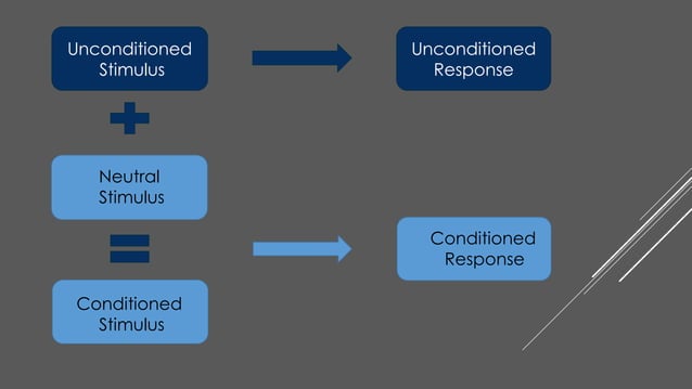 Classical Conditioning Introductory Psychology