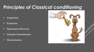 Ivan Pavlov Classical Conditioning