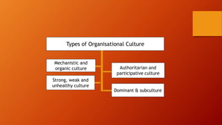 Organizational Culture Dynamics (Organizational Management) | PPTX