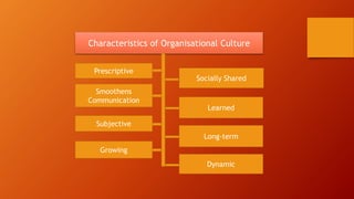 Organizational Culture Dynamics (Organizational Management) | PPT