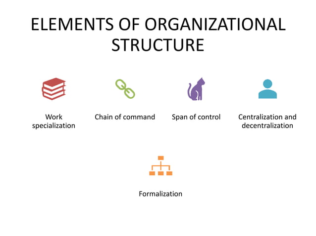 Amazon's Organizational structure