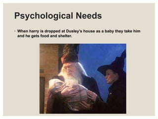 Ob presentation on Harry Potter And Organizational Behavior | PPTX