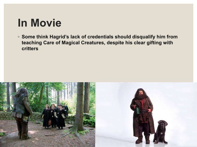 Ob presentation on Harry Potter And Organizational Behavior | PPT