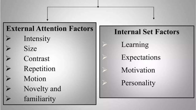 Ob Presentation Modified.pptx