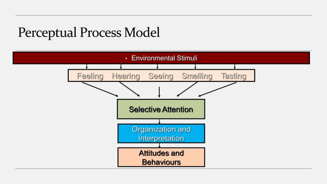 Ob Presentation Modified.pptx