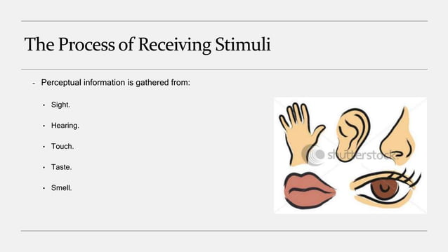 Ob Presentation Modified.pptx