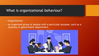Organizational behavior presentation others disciplines to ob | PPTX