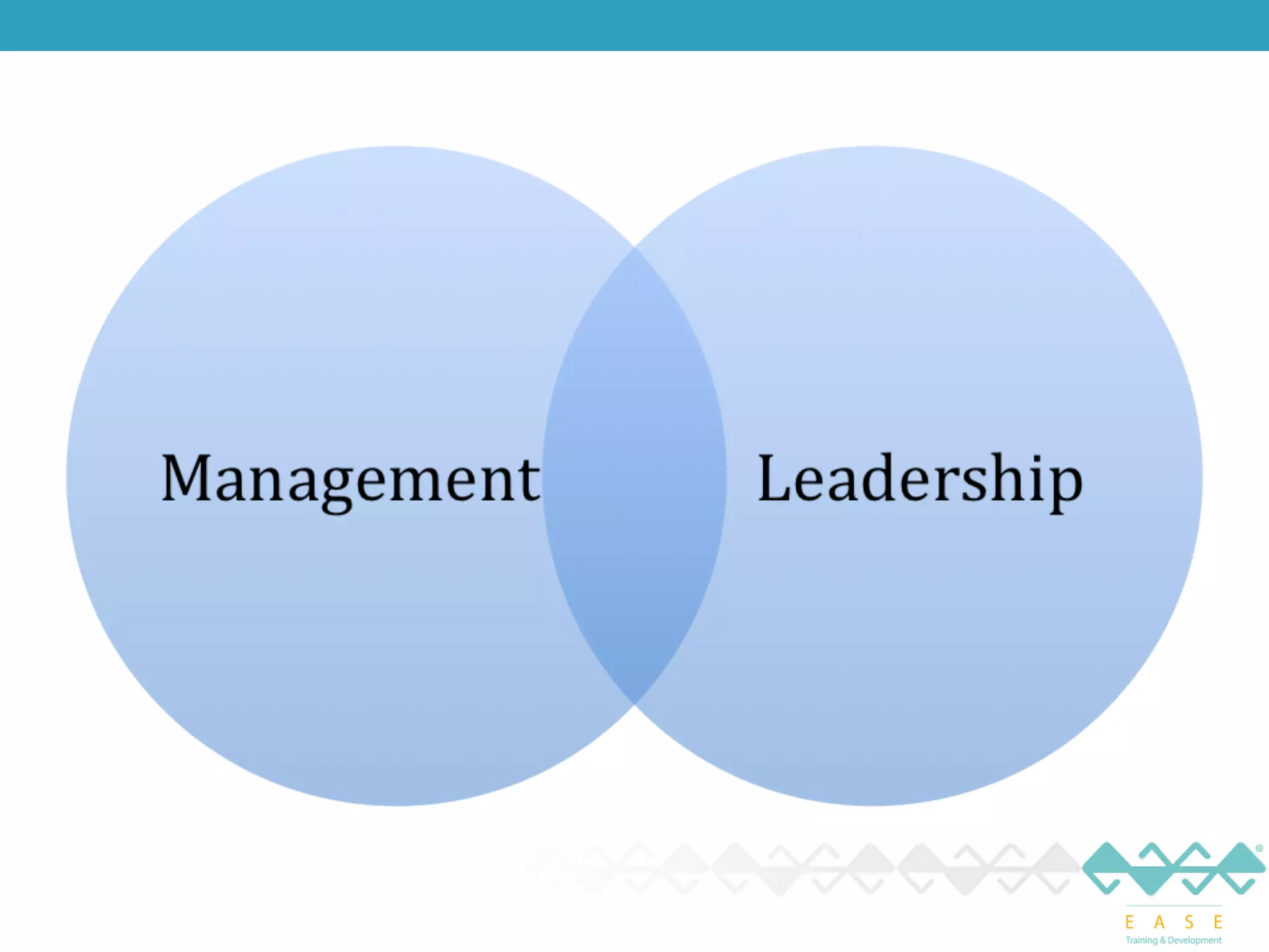 OB by Radwa Alaa | PDF