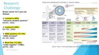 Metastatic Breast Cancer Research: Some Key Challenges | PPT