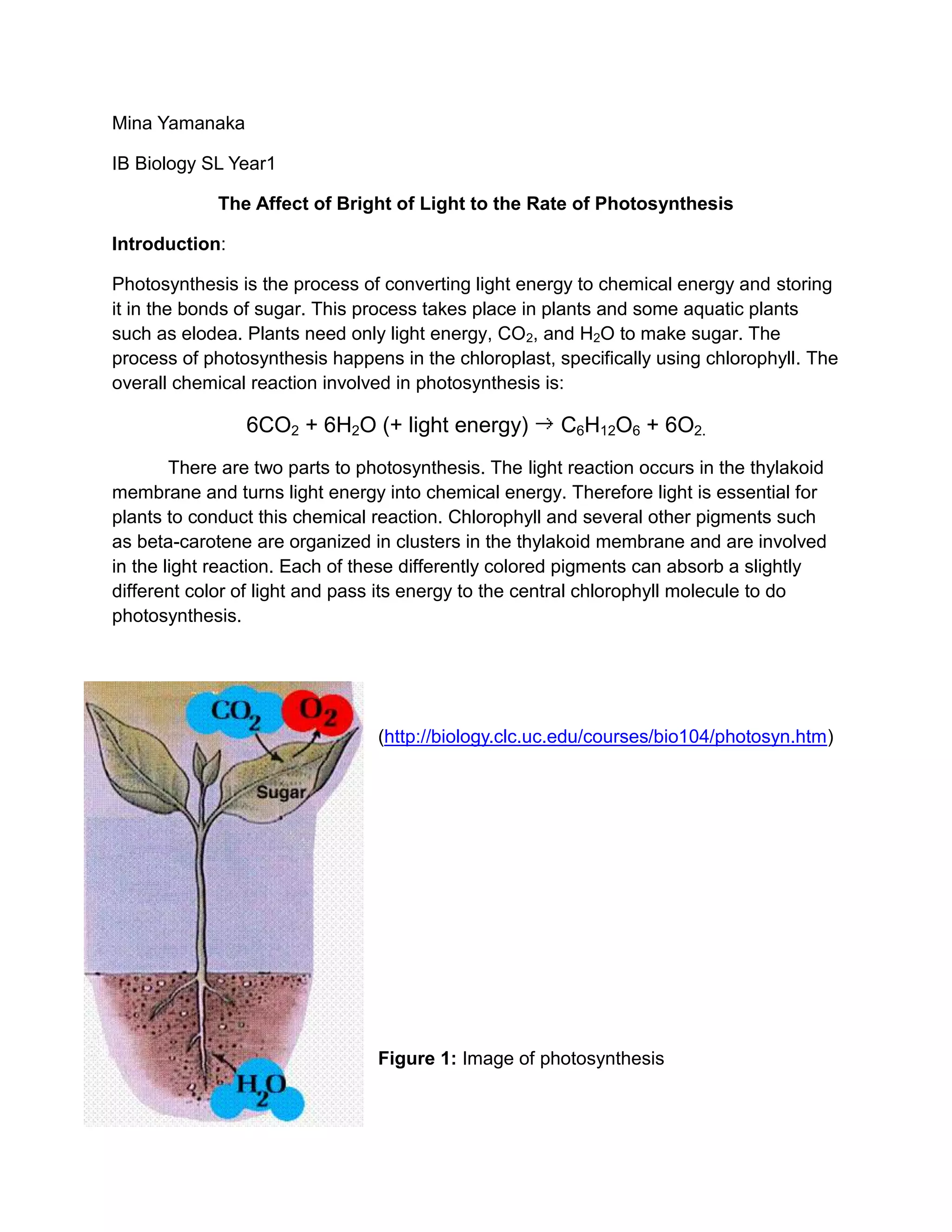 Correlation between brightness of light and photosynthesis lab | DOCX