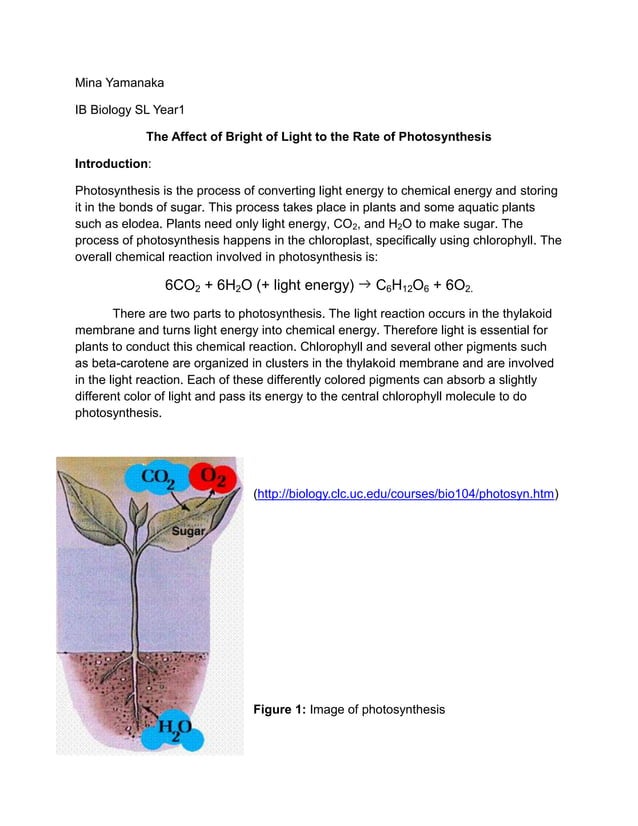 Correlation between brightness of light and photosynthesis lab | PDF