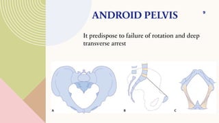 definition of pelvis , shapes of pelvis. | PDF