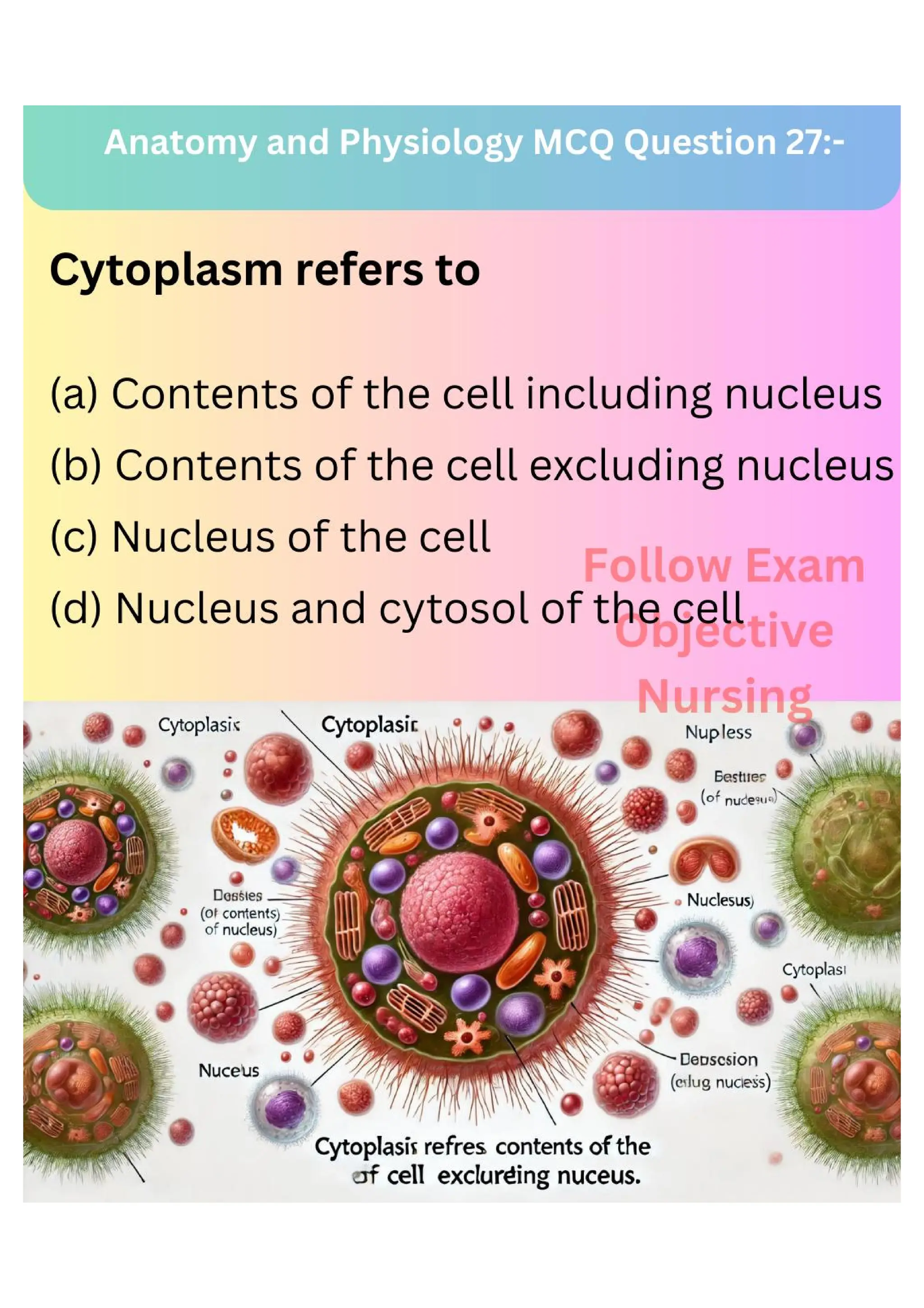 Nursing mcq question set-24 for examination | PDF