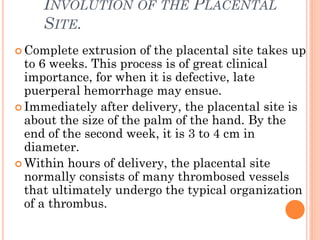 Obs All Lectures Indexed.pdf