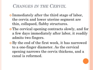 Obs All Lectures Indexed.pdf