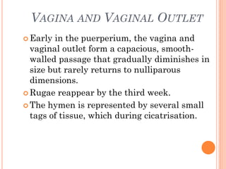 Obs All Lectures Indexed.pdf