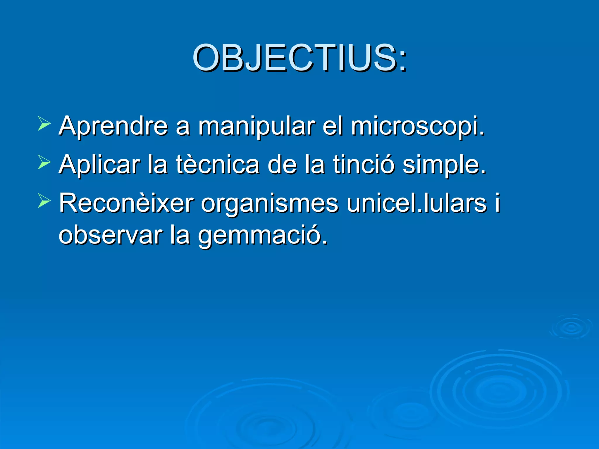 Observació De Llevats Al Microscopi | PPT