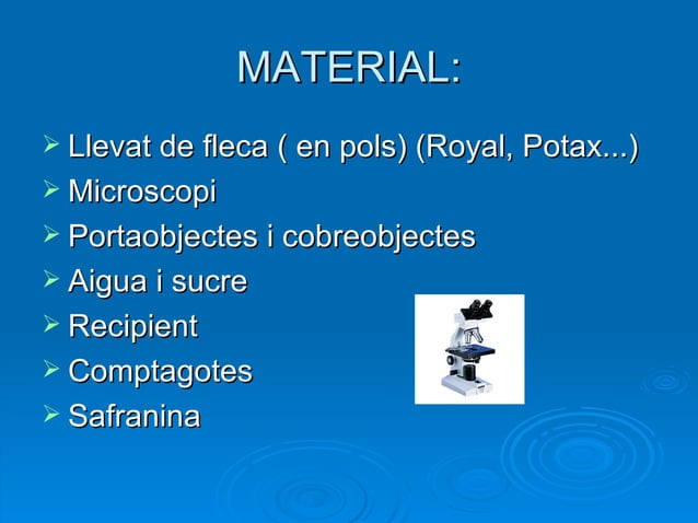 Observació De Llevats Al Microscopi | PPT