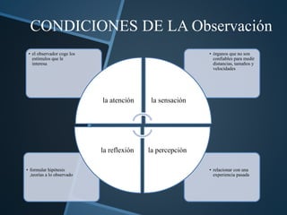 La observación y su clasificación | PPTX
