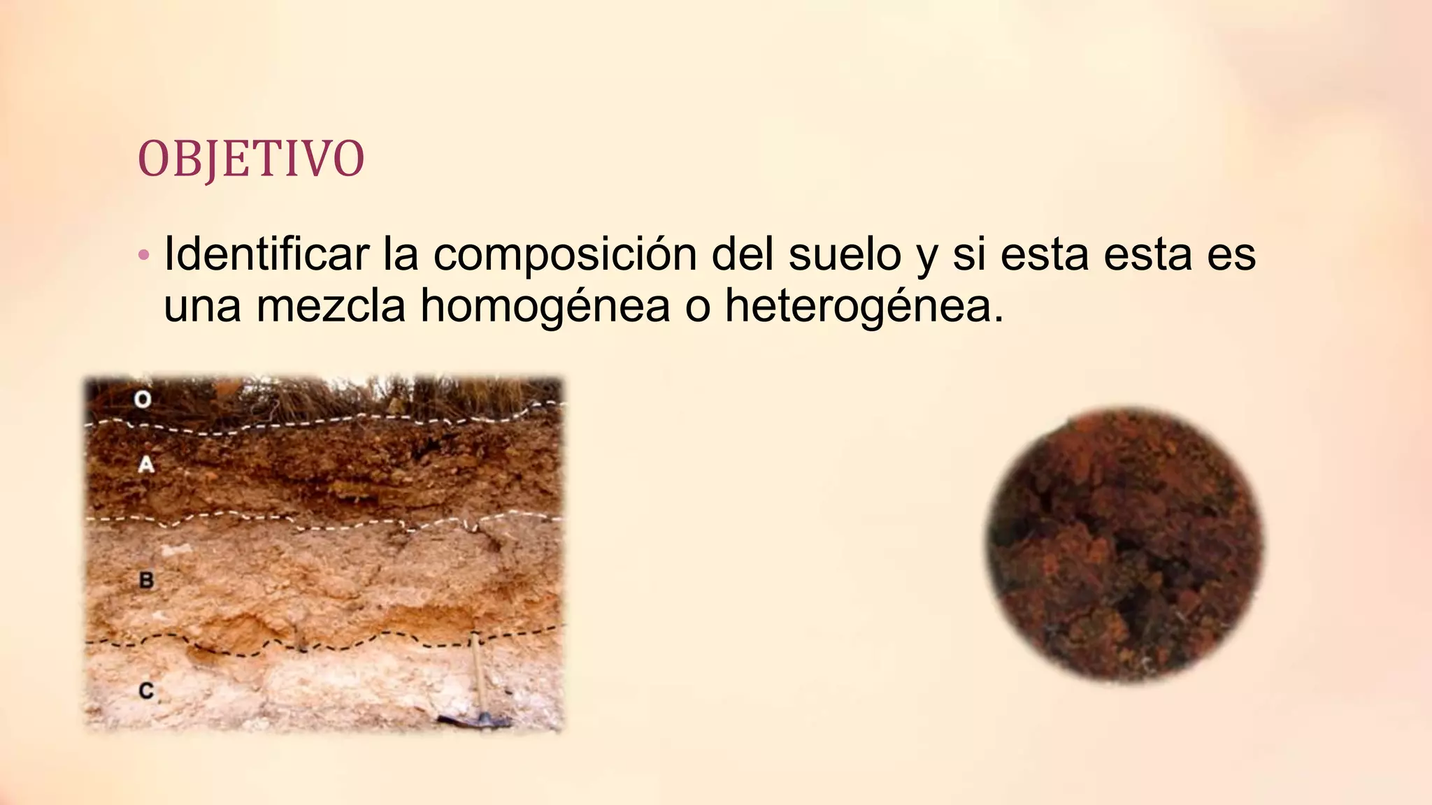 Observarción de una muestra de suelo | PPT