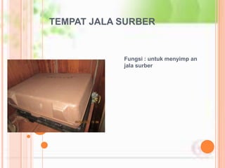 Observasi lab.ekologi | PPTX