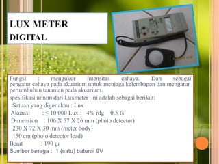 Observasi lab.ekologi | PPTX