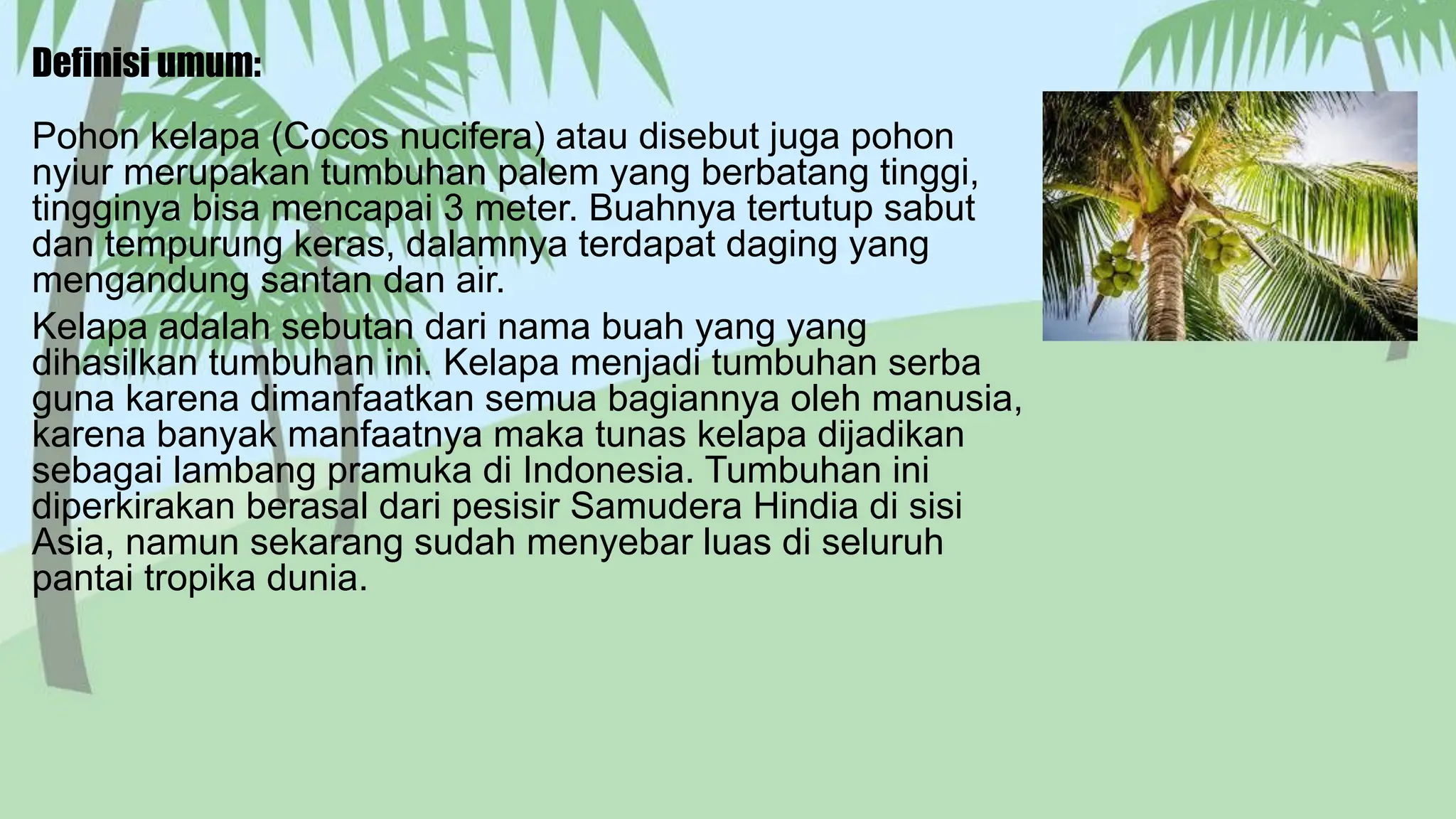 observasi pohon kelapa dan buah kelapa. (1).pdf