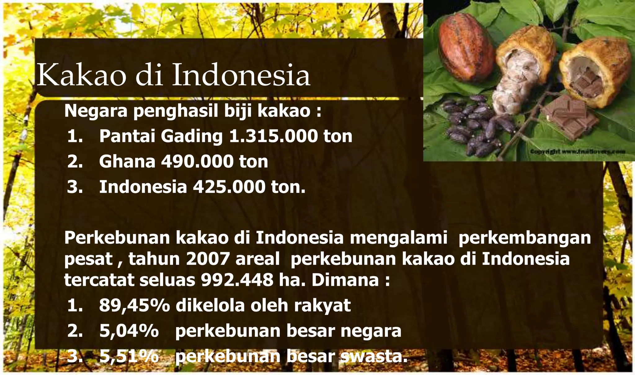Observasi timbulan sampah perkebunan kakao pt | PPT