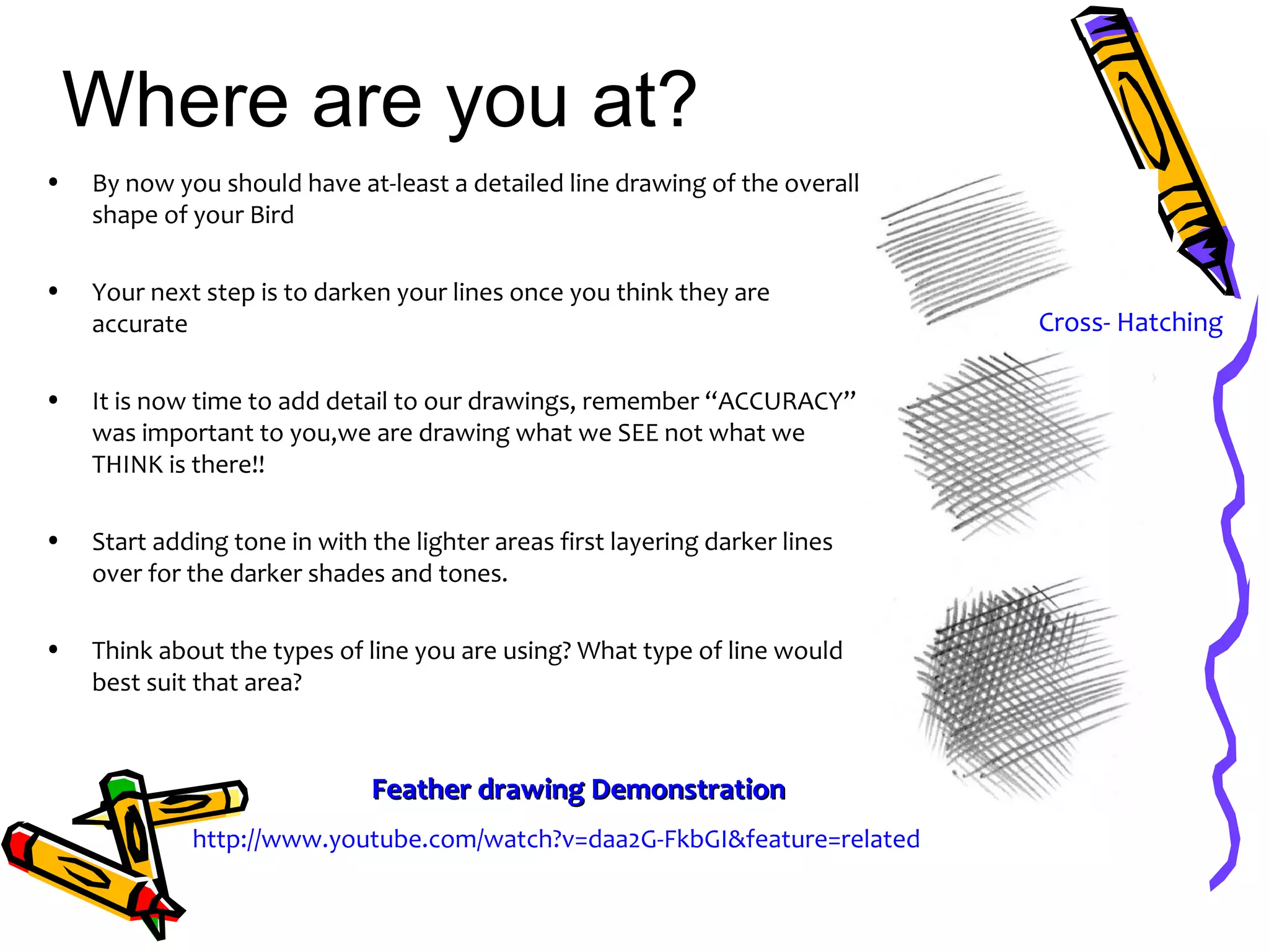 Observational drawing -birds_yr_10 | PPT