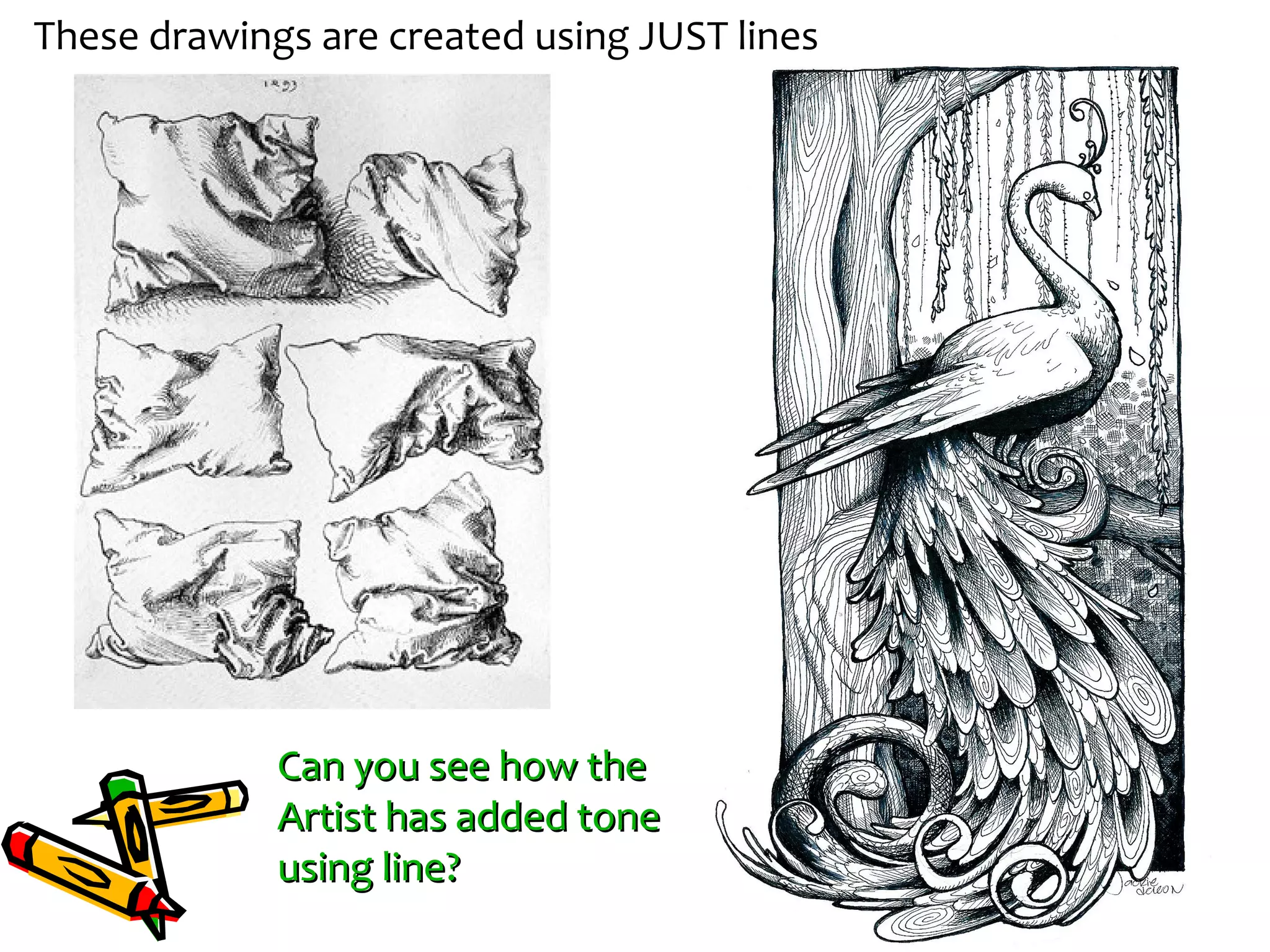 Observational drawing -birds_yr_10 | PPT