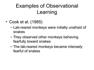 Observational learning | PPT
