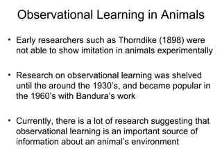Observational Learning Animals